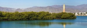 Kalba, UAE: A Hidden Gem on the Eastern Coast | Coming Soon in UAE